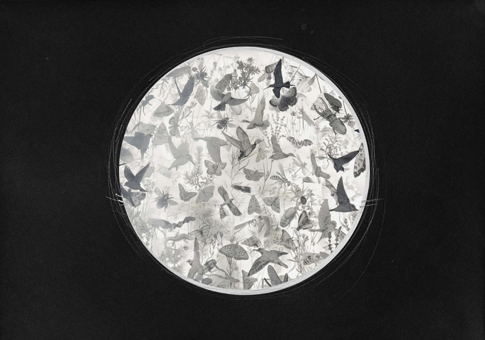 U2 - The Sphere | Es Devlin